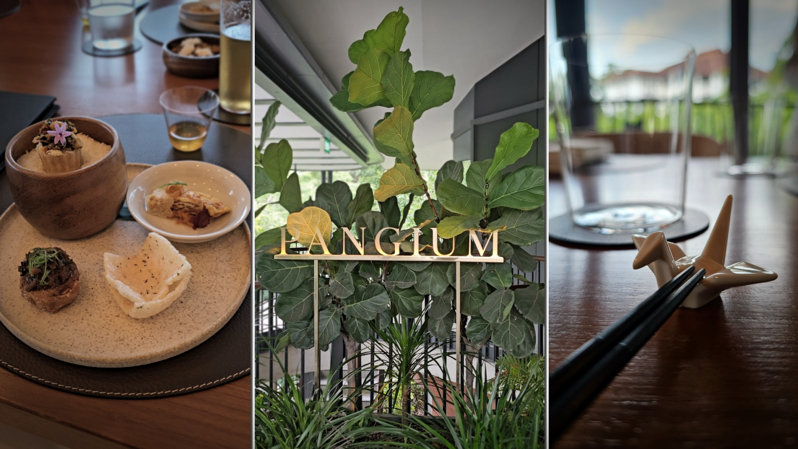 Pangium / Singapore - Hong Tsui